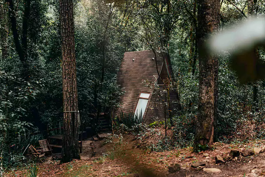 Wander Cabins | Home